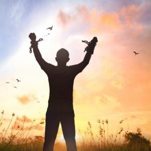 Freed from Sin. Now What? - Blessed Savior Lutheran Church
